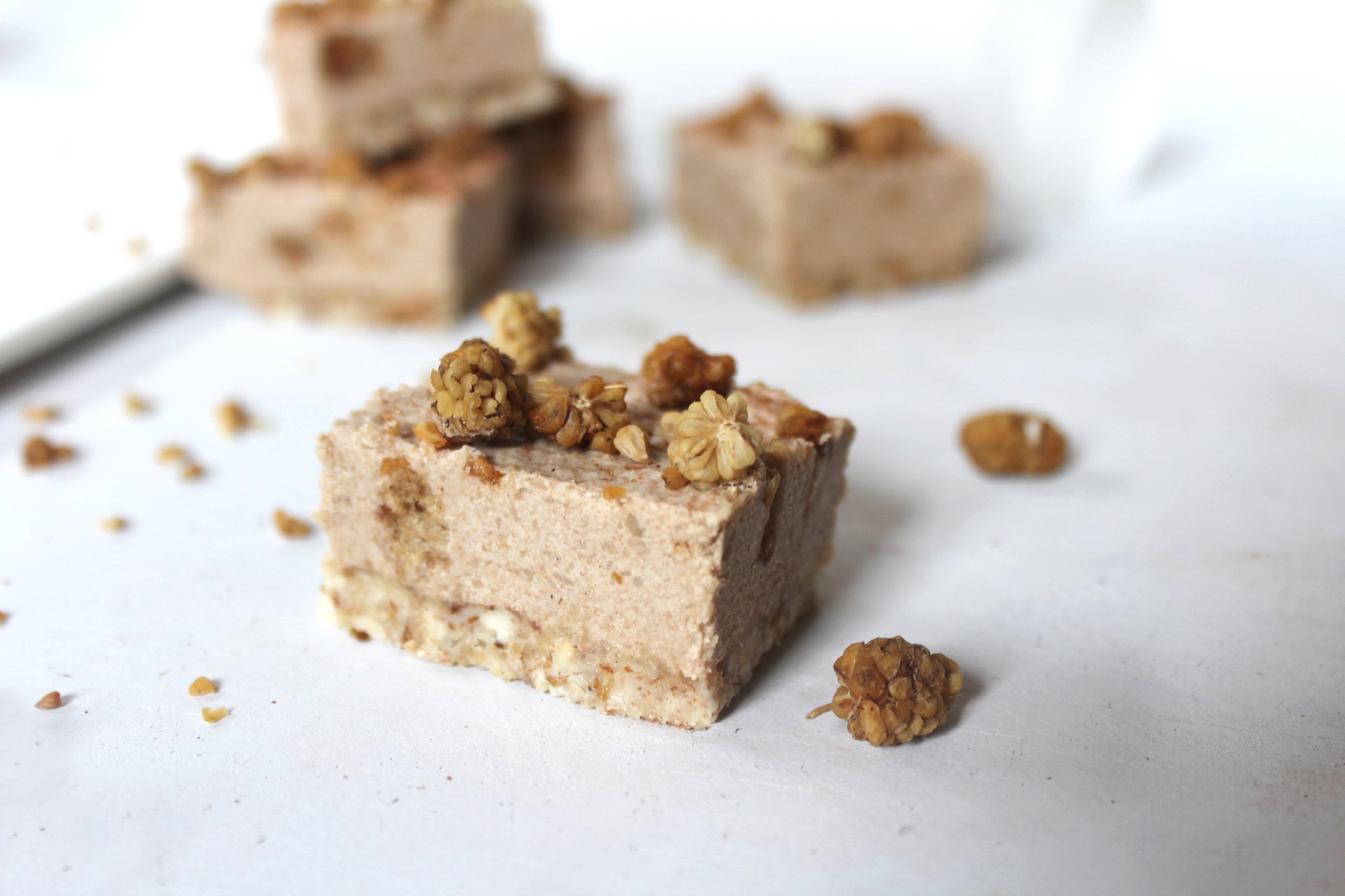 Coconut Slice Recipe With Raw Mulberry | Gelpro Australia