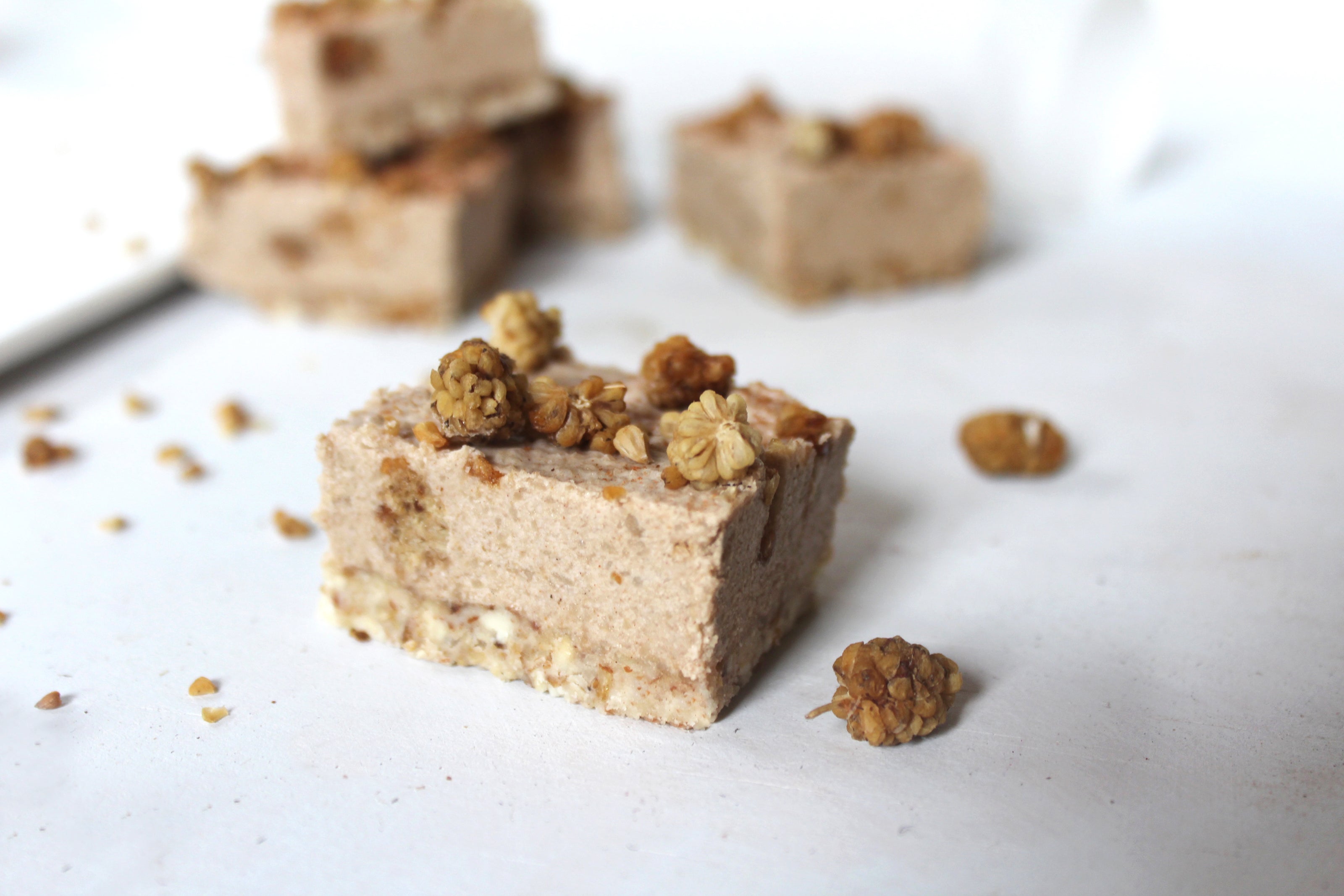 Coconut Slice Recipe With Raw Mulberry | Gelpro Australia